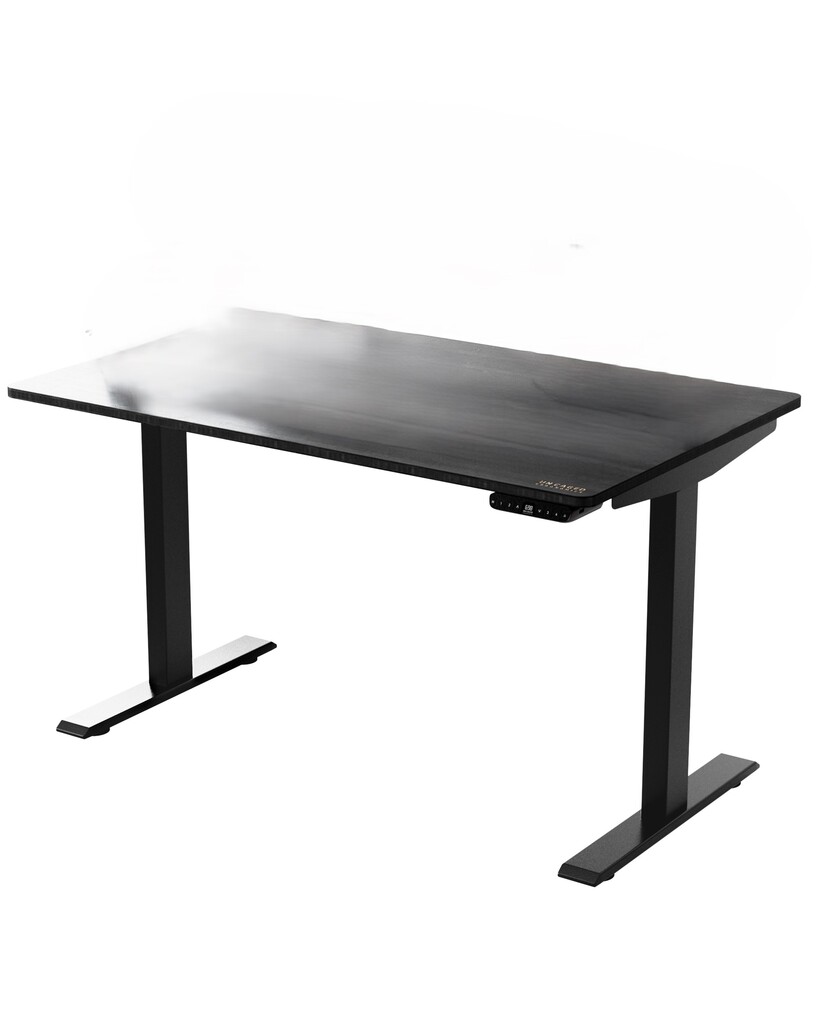 30 Inch Adjustable Stainless Steel Computer Desk In Black by Homeroots ...