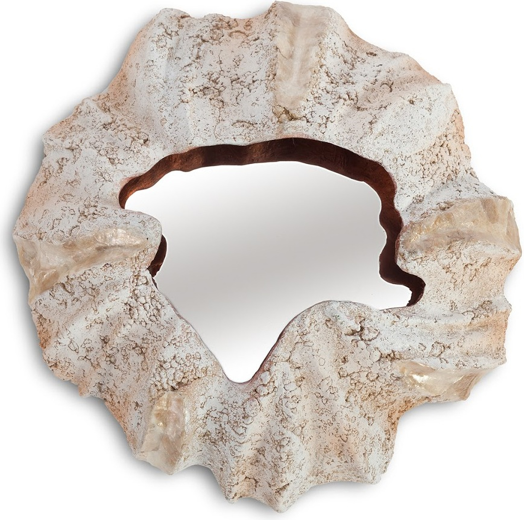Barnacle Wall Art by Phillips Collection | 1StopBedrooms