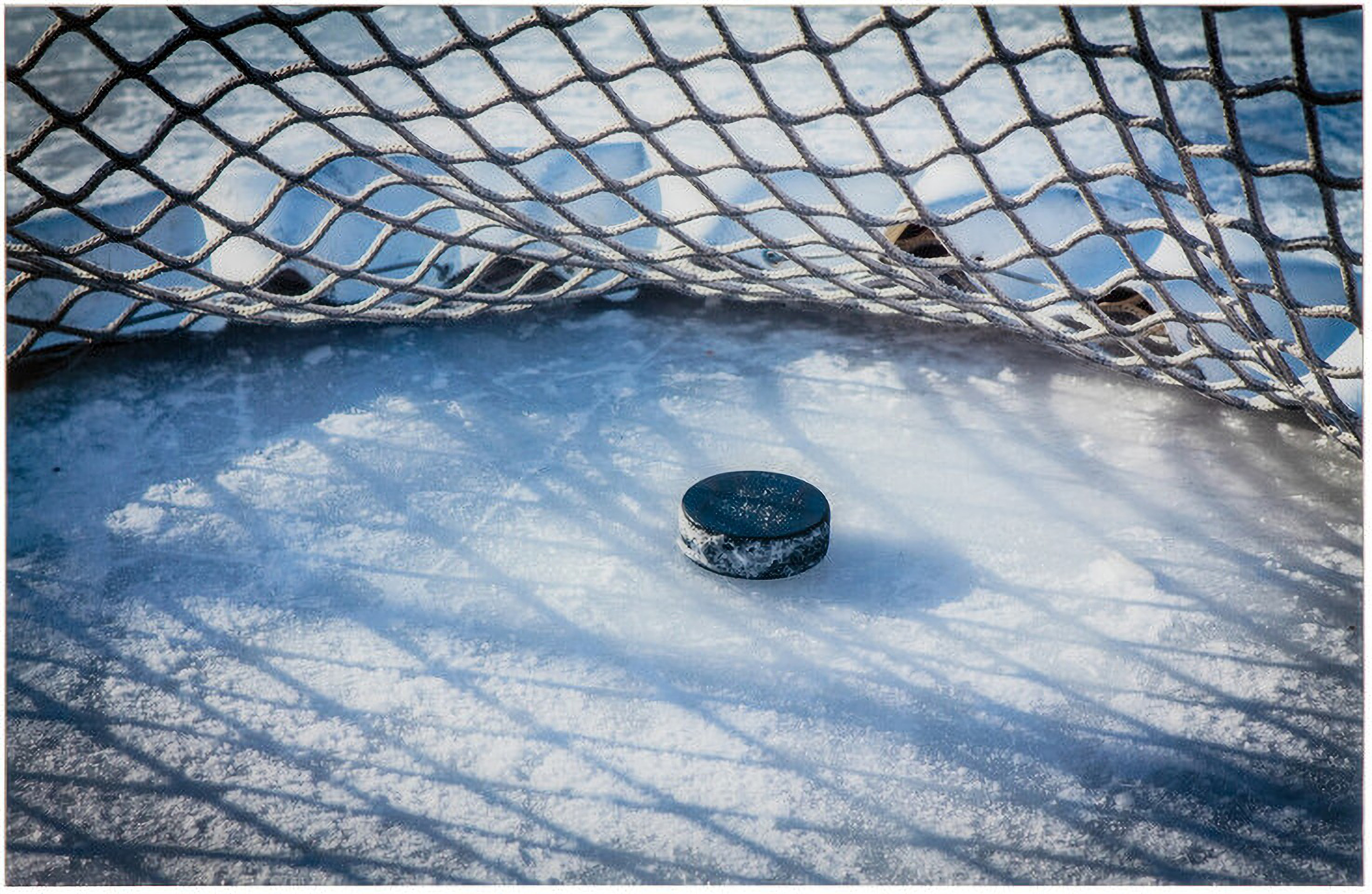 Biscuit Wall Art In Multicolor by Yosemite Home Decor | 1StopBedrooms