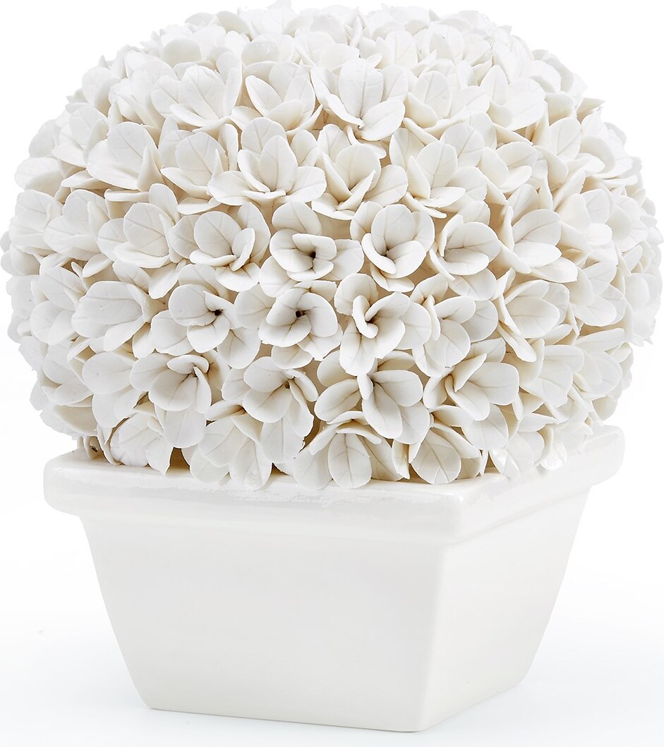 Boston Round Boxwood Topiary In Blanc de Chine by Villa & House ...