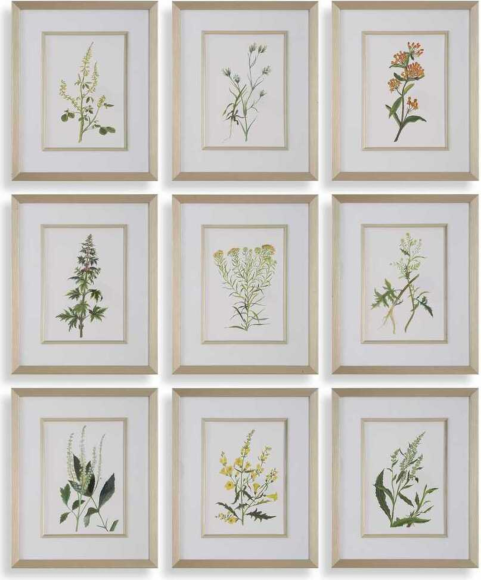 Botanical Flowers Framed Prints Set of 9 In Multi by Uttermost ...