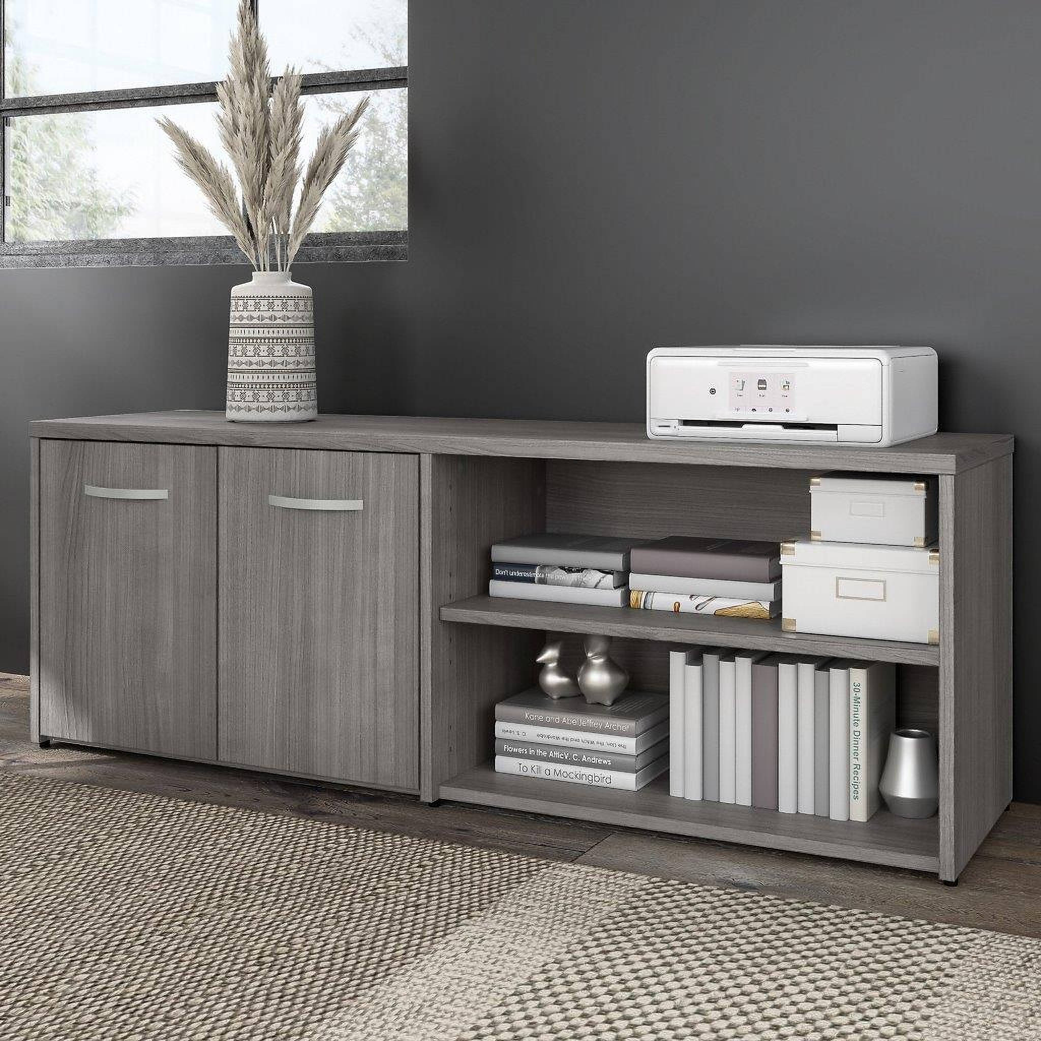Bush Business Furniture Hybrid Low Storage Cabinet with Doors and ...
