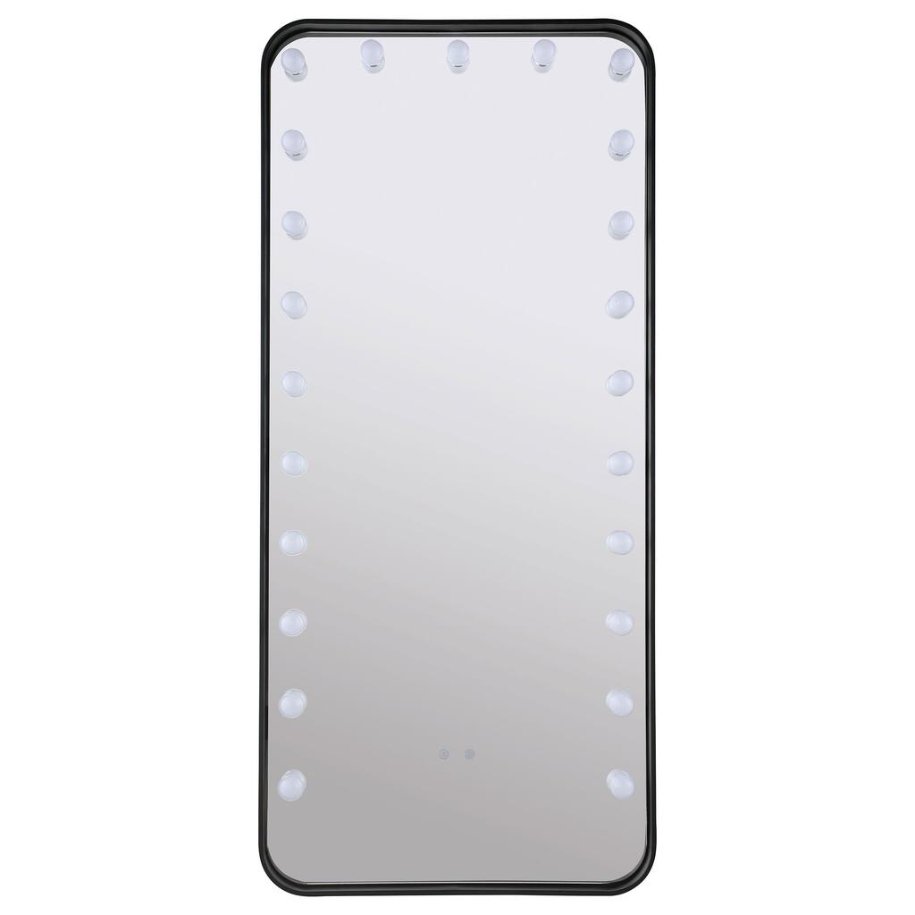 Canton 32 x 71 Inch LED Standing Mirror with Speakers In Black by ...