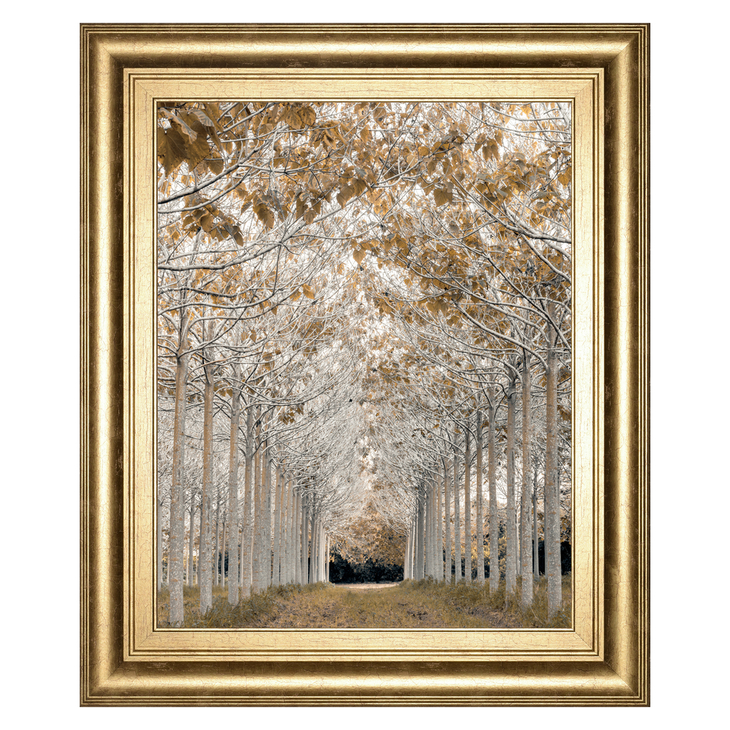 Classy Art Pathway Wall Art In Gold by Classy Living | 1StopBedrooms