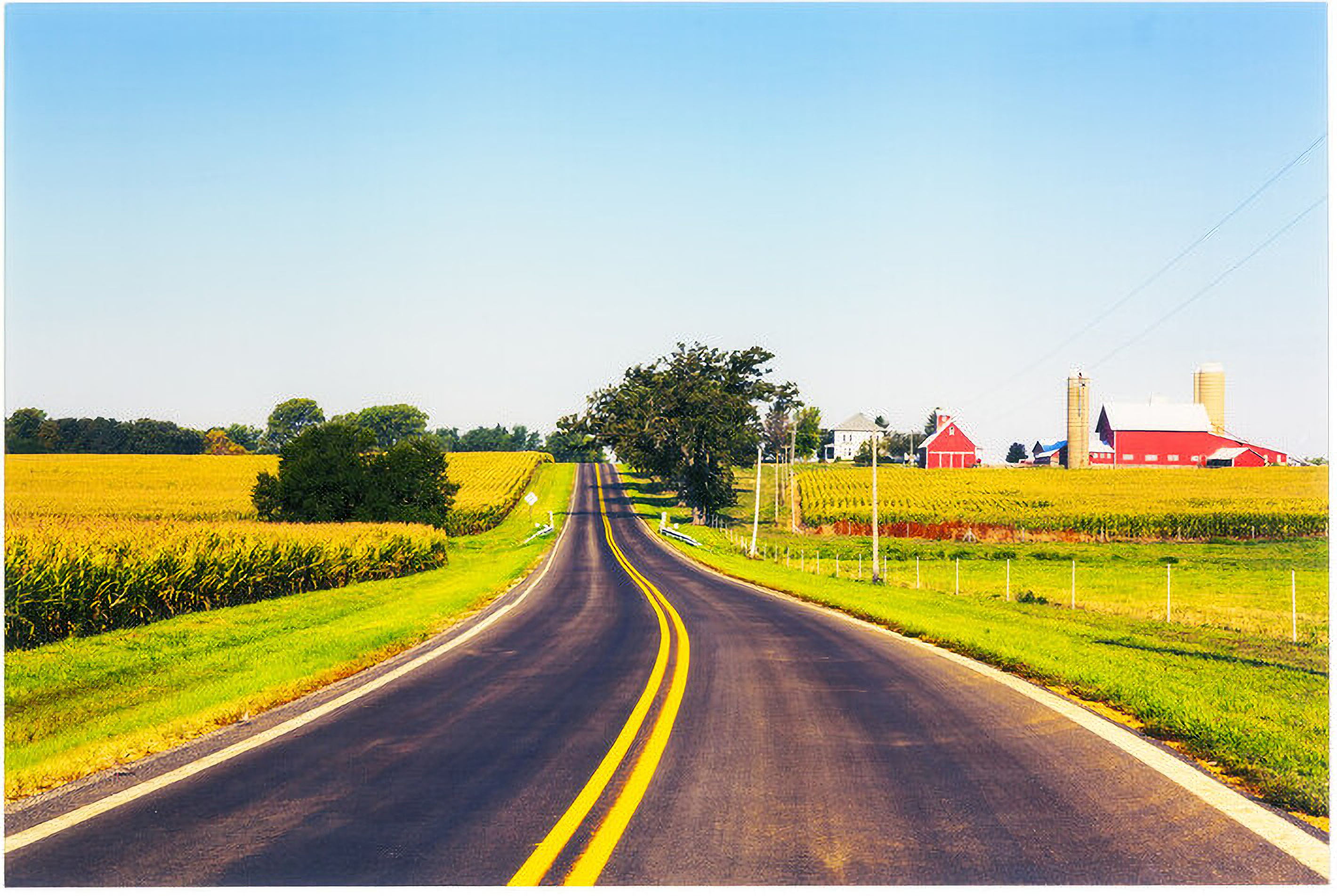 Countryside Wall Art In Multicolor by Yosemite Home Decor | 1StopBedrooms