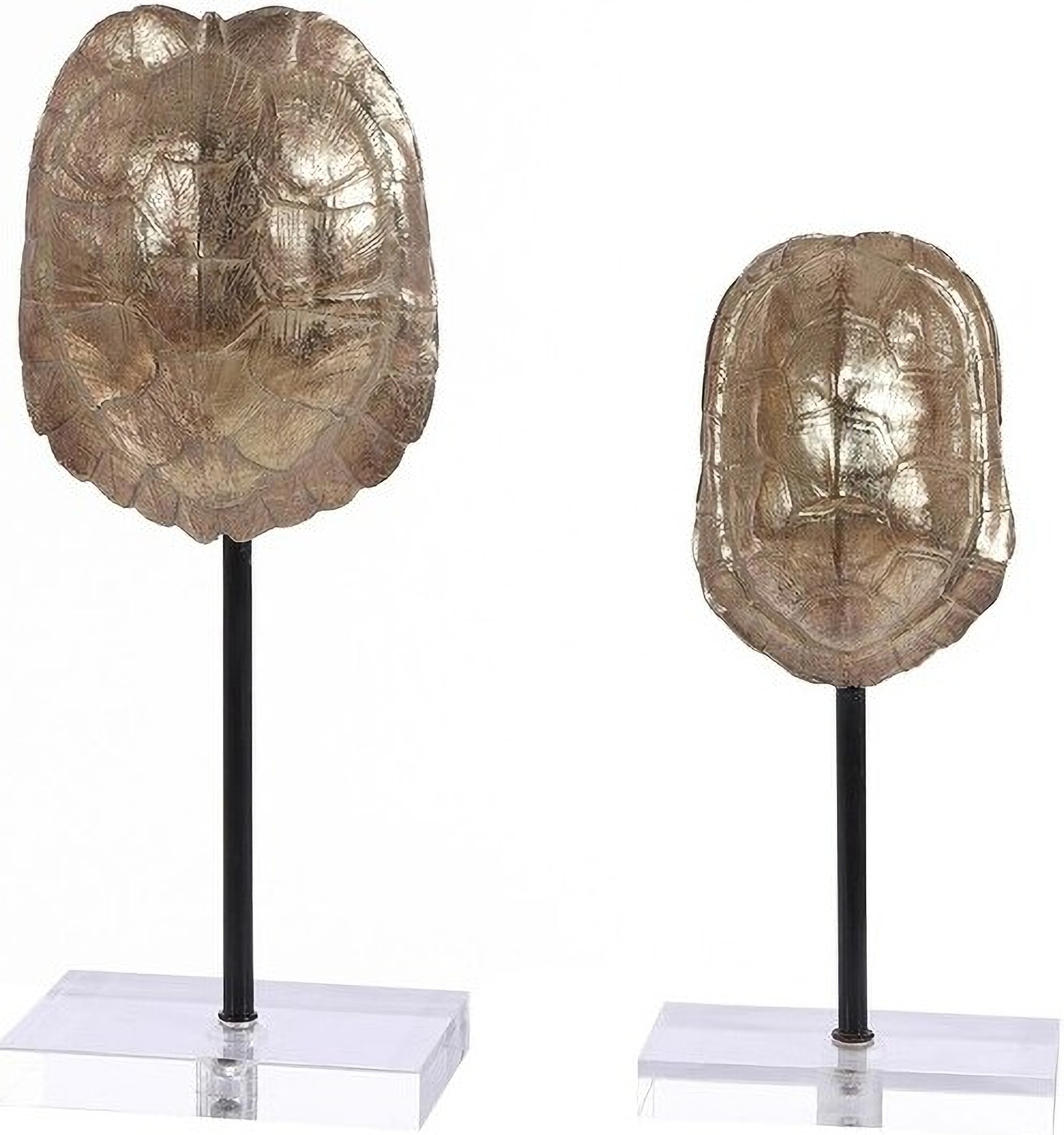 Eris Turtle Shell Table Decor Set of 2 in Gold by Safavieh | 1StopBedrooms