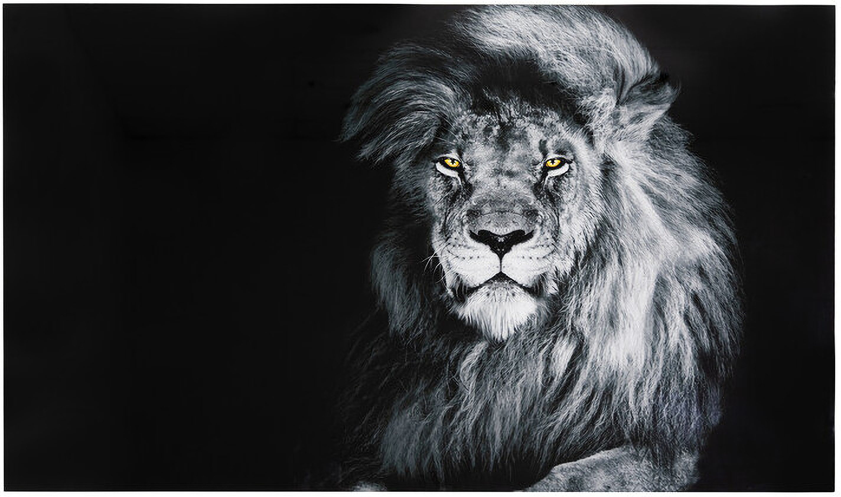 Felis Leo Wall Art In Black by Yosemite Home Decor | 1StopBedrooms