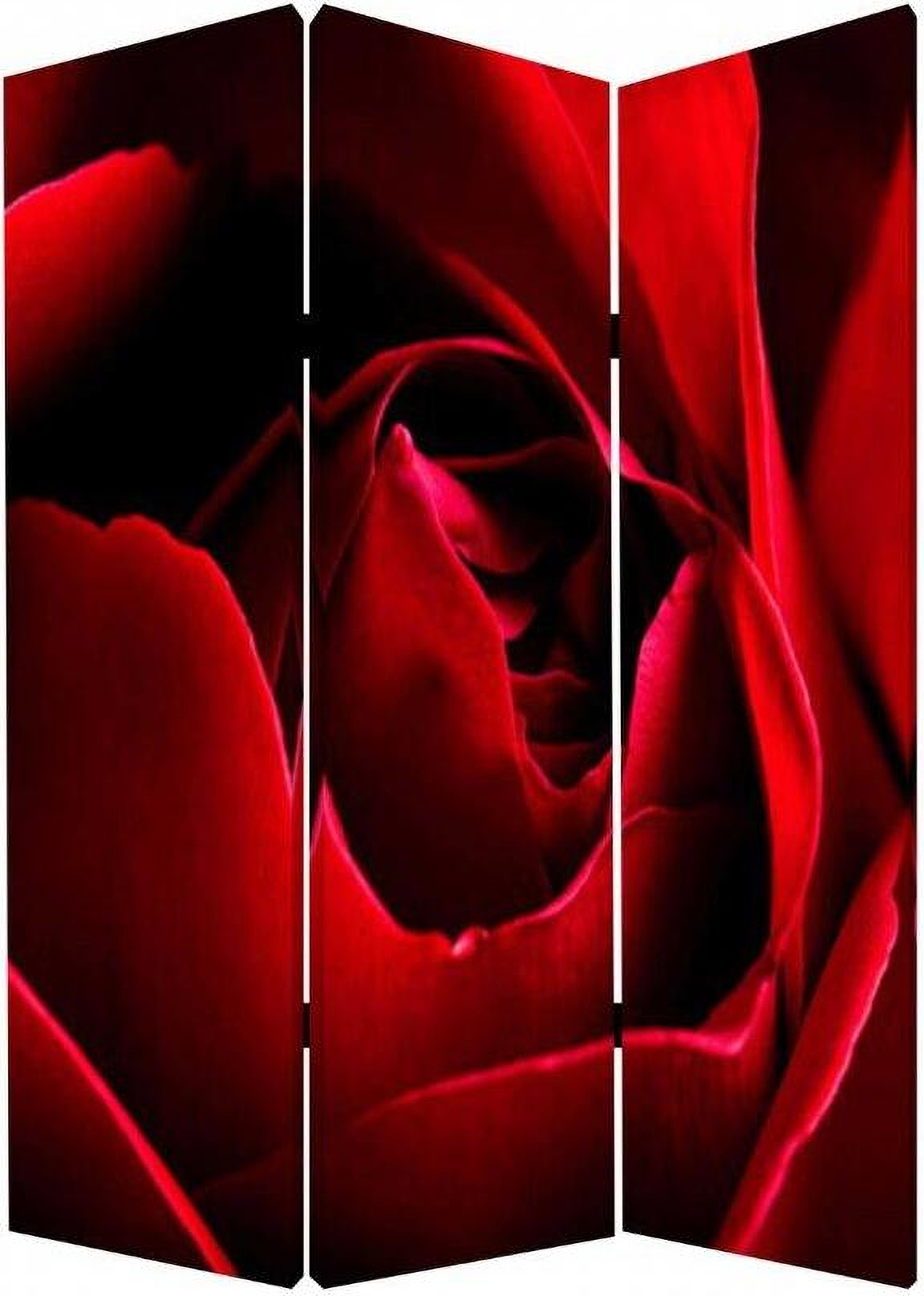 Homeroots Multi Color Wood Canvas Rose Screen | 1StopBedrooms