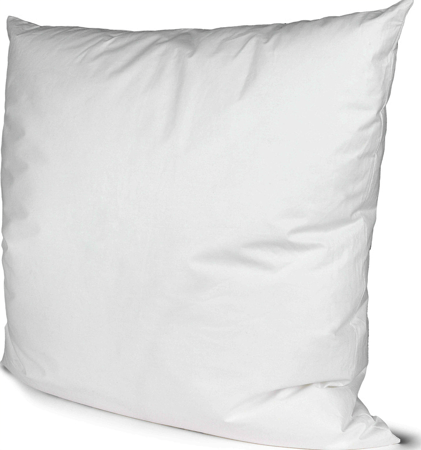 Non Allergen 22 x 22 Inch Pillow Insert by Mercana | 1StopBedrooms