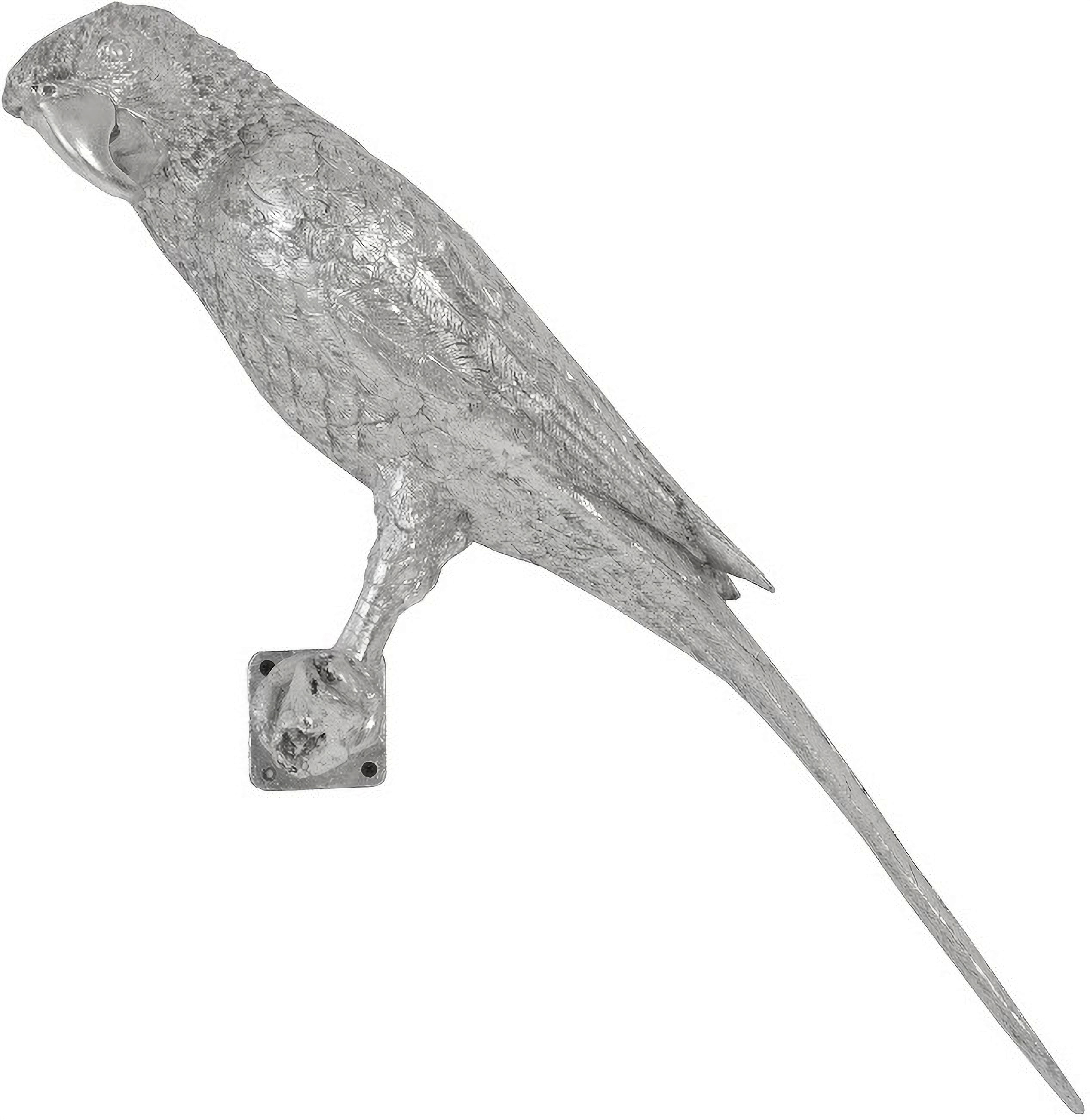 Parrot Looking Left Wall Art by Phillips Collection | 1StopBedrooms