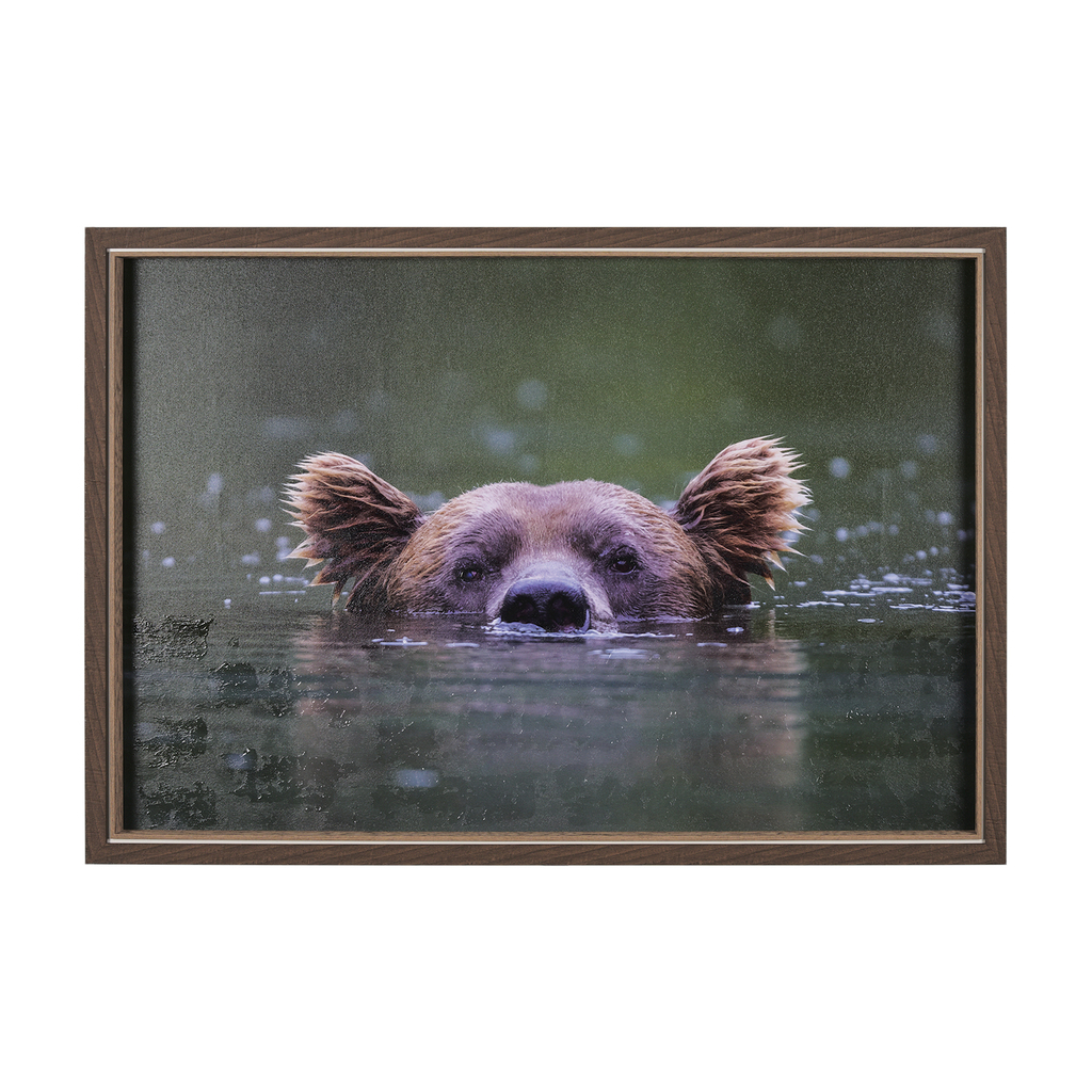 Peeking Out Framed Series In Gray/Brown/Black by Mercana | 1StopBedrooms