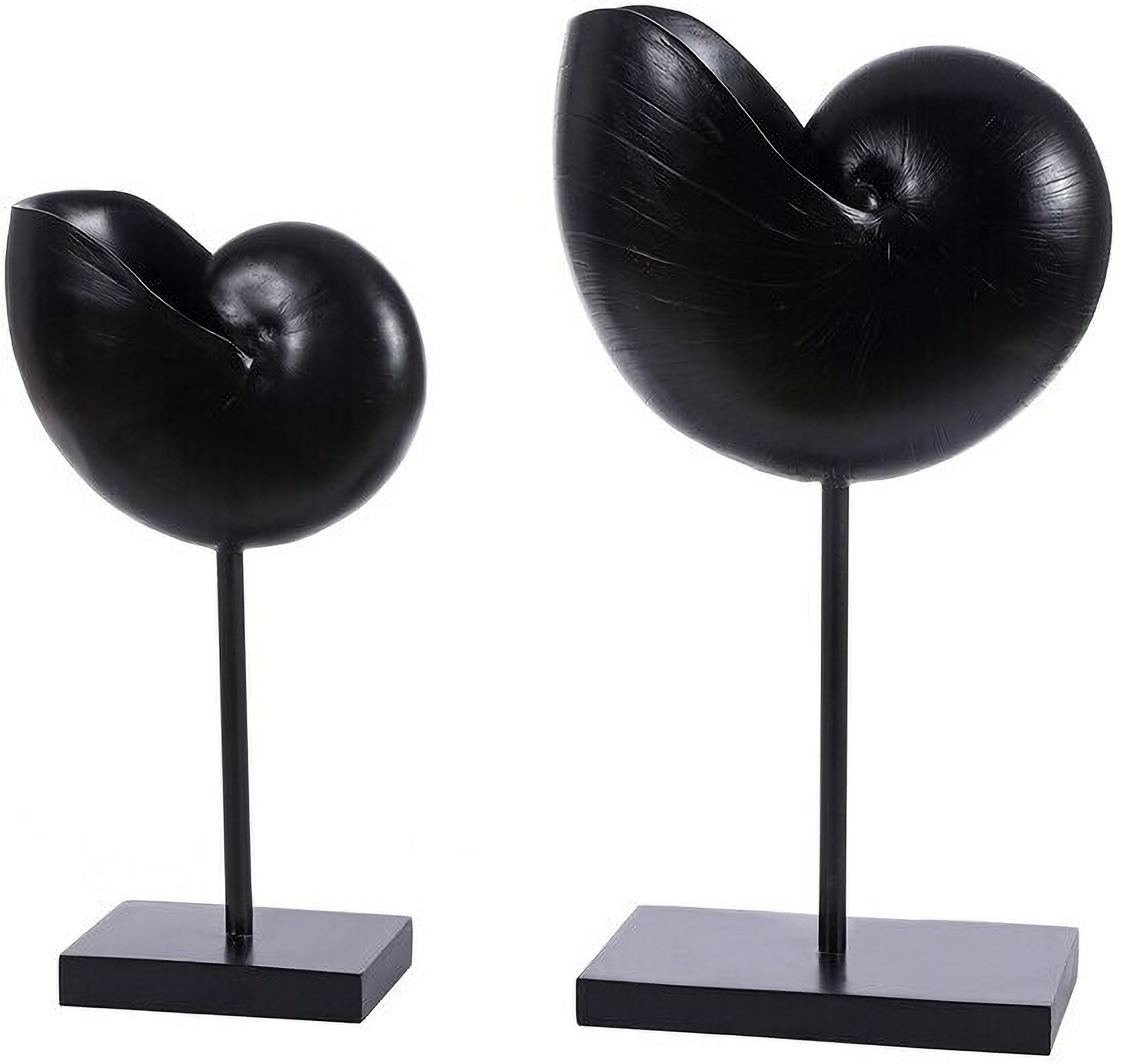Resi Snail Table Decor Set of 2 in Black by Safavieh | 1StopBedrooms