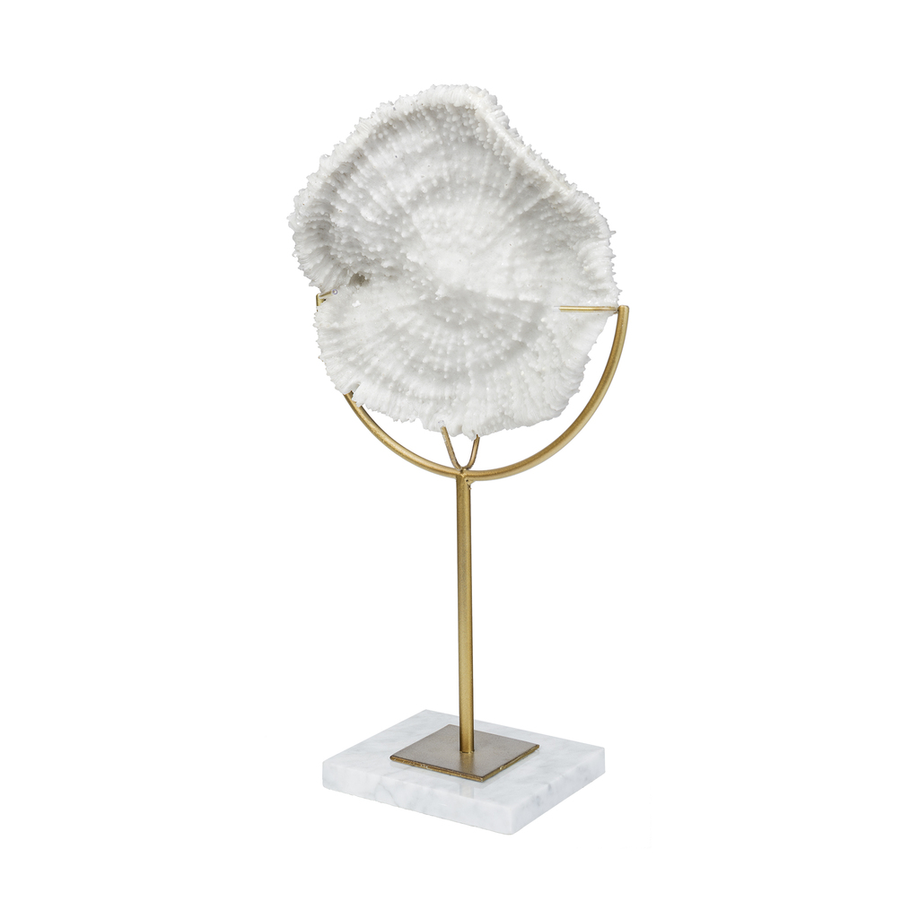 Sandy I Small Coastal Sand Dollar Object In White by Mercana ...