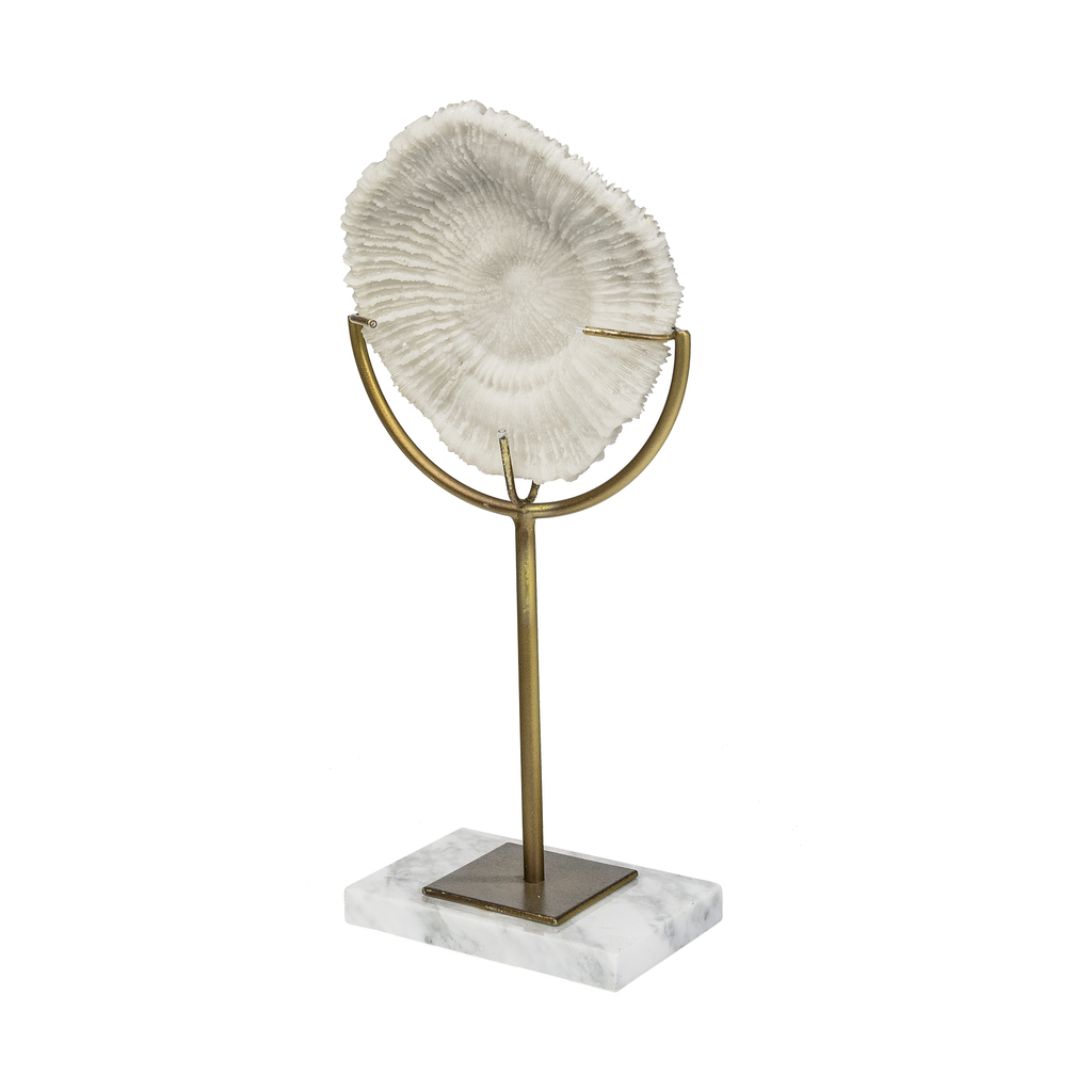 Sandy II Medium Coastal Sand Dollar Object In Gold by Mercana ...