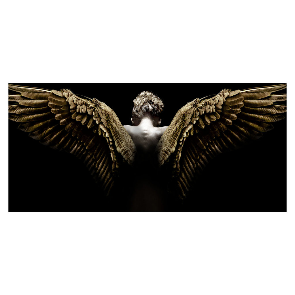 Shadow Seraph Frameless Tempered Glass Wall Art In Multi by Classy ...