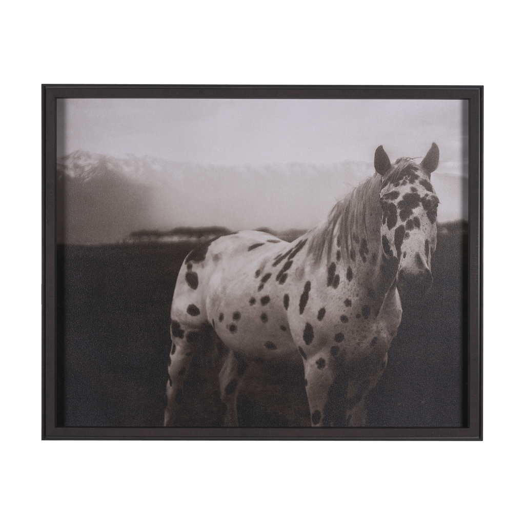 Spotted Solo Wall Art In Black and White by Mercana | 1StopBedrooms