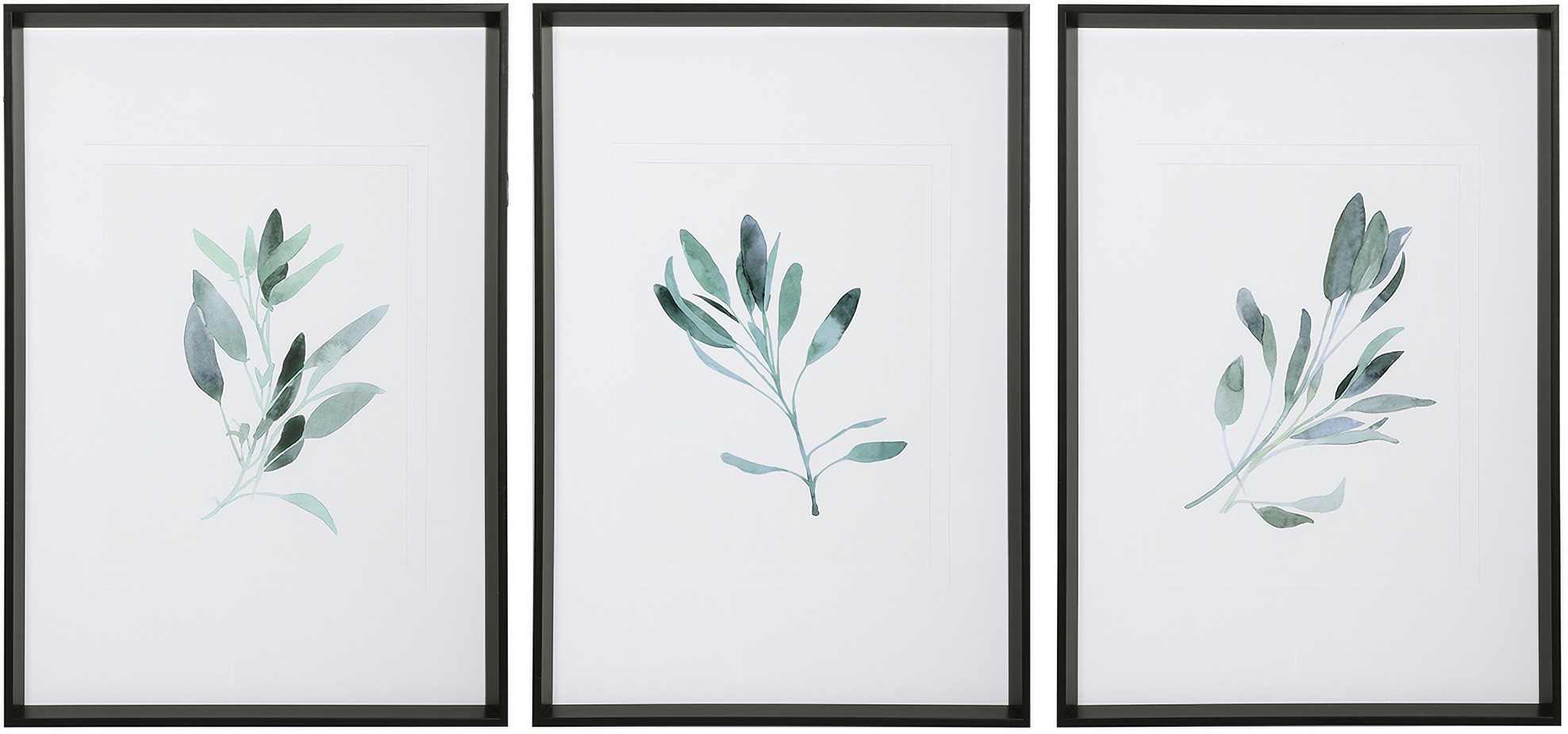 Uttermost Simple Sage Watercolor Prints Set Of 3 | 1StopBedrooms