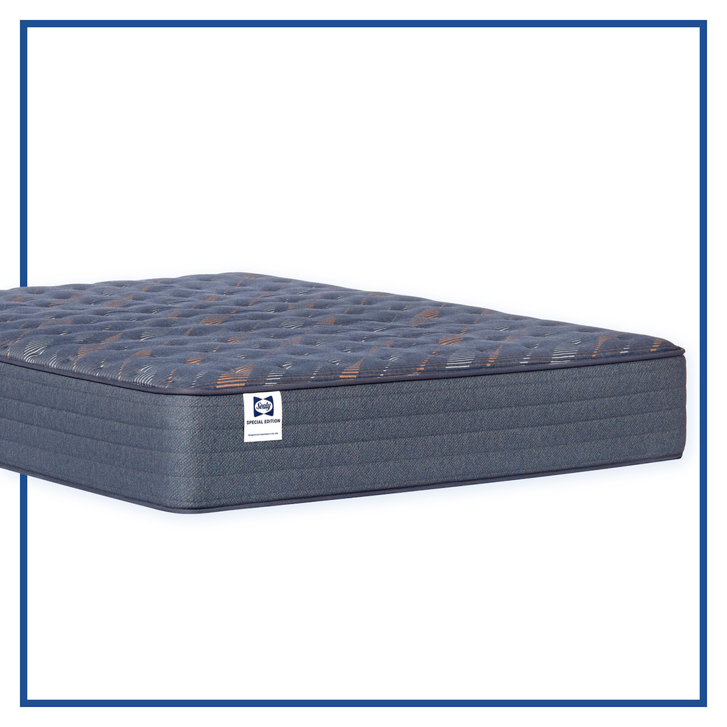 Warner 12 Inch Firm Tight Top King Innerspring Mattress by Sealy ...