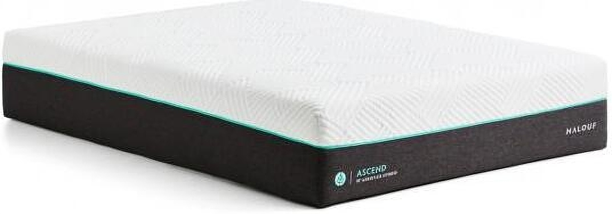 Wellsville 11 Inch Latex Hybrid Mattress by Malouf 1StopBedrooms
