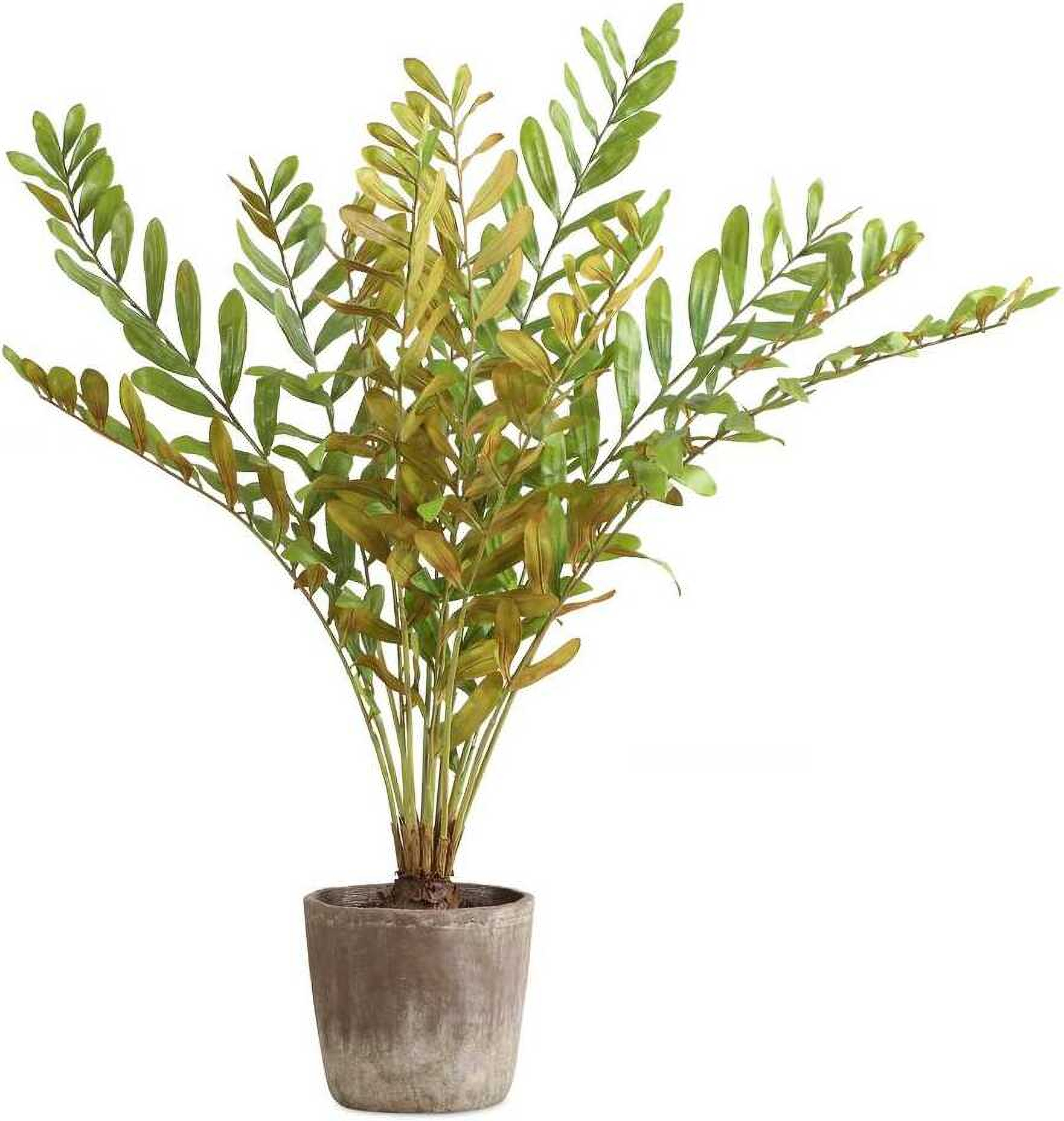 Zamia Palm Accent Planter In Multi by Uttermost | 1StopBedrooms