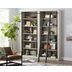 Toulouse 96 Inch Tall Wall Bookcase with Ladder In Aged Chateau White ...