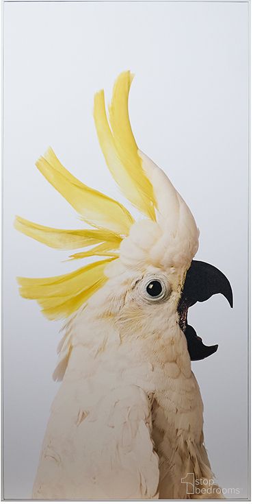 Birds Of A Feather 30 Inch x 60 Inch White Floater Frame Set Of 2 by ...